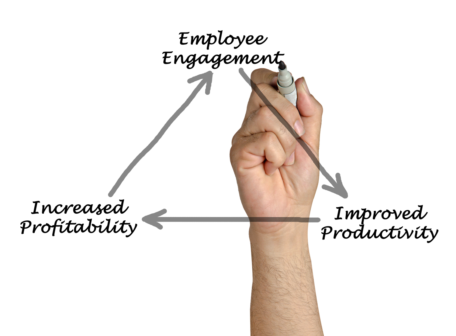 How we can Help | Employees First Consulting